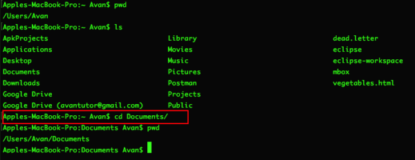 The 10 Command Lines - AvanTutor Blog - Tips, Tricks, and Resources for Mastering Coding